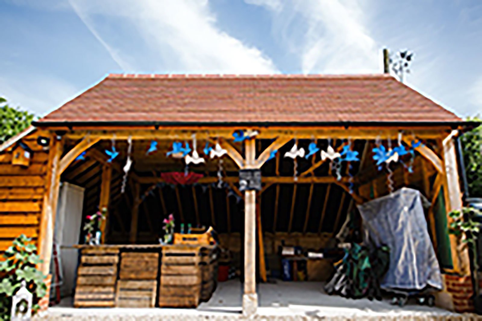 C Data Users Defapps Appdata Internetexplorer Temp Saved Images Luke 20 20beth 20 012 20of